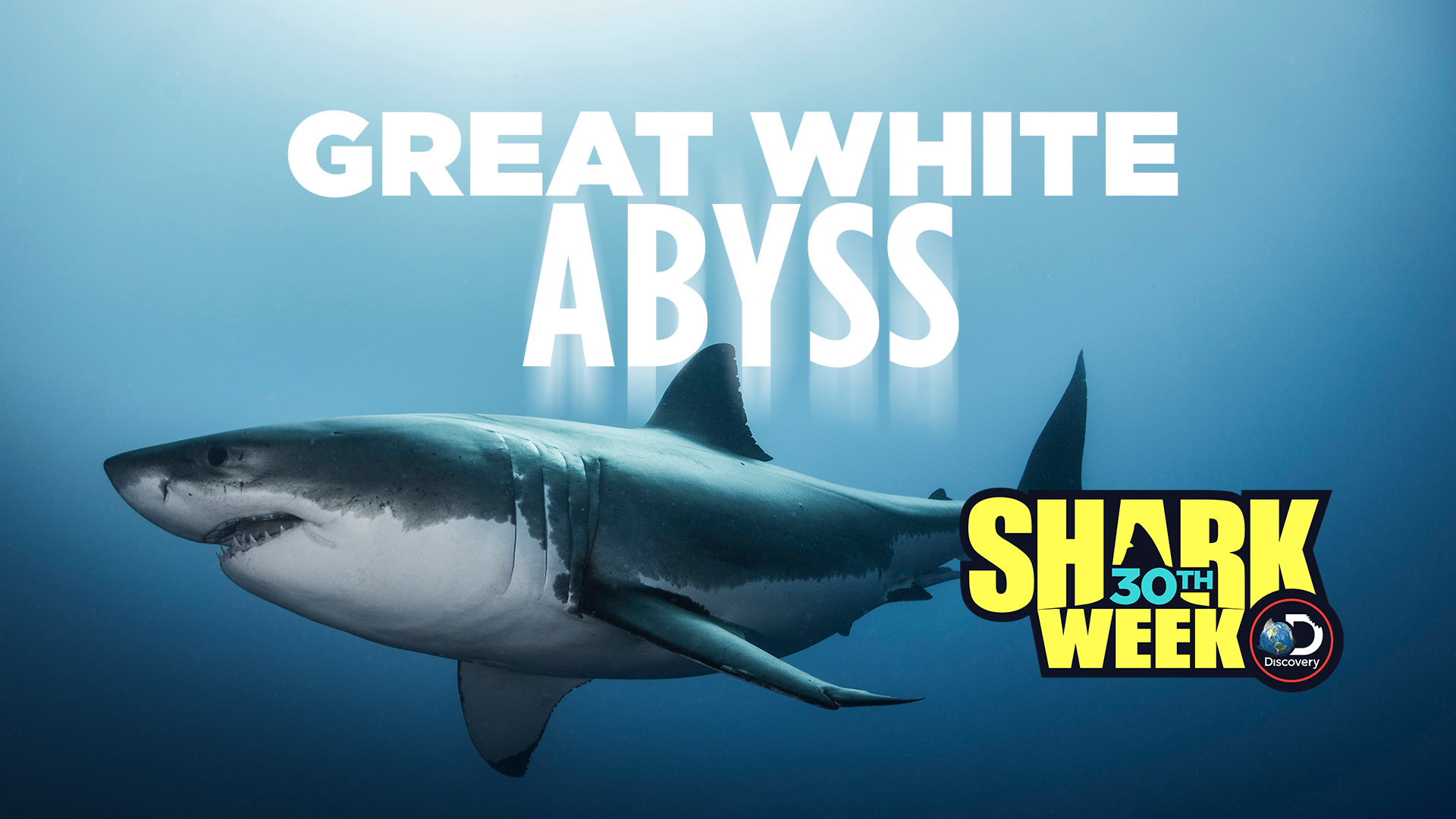 Great-White-Abyss-1920X1080 | Islander Charters